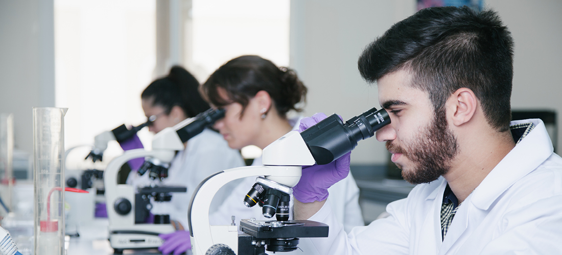 Why CAS | American University of Sharjah