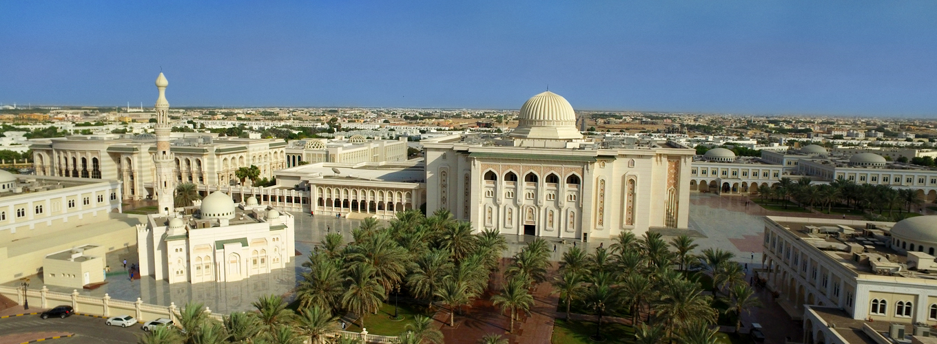 Finding Arabic Language Materials in AUS Library | American University ...