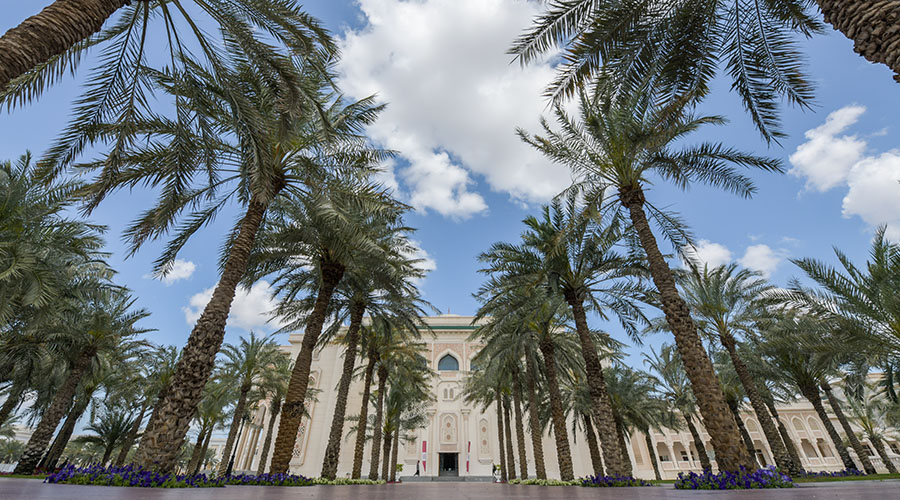 AUS revamps two programs, introduces six new ones for Fall 2024 ...