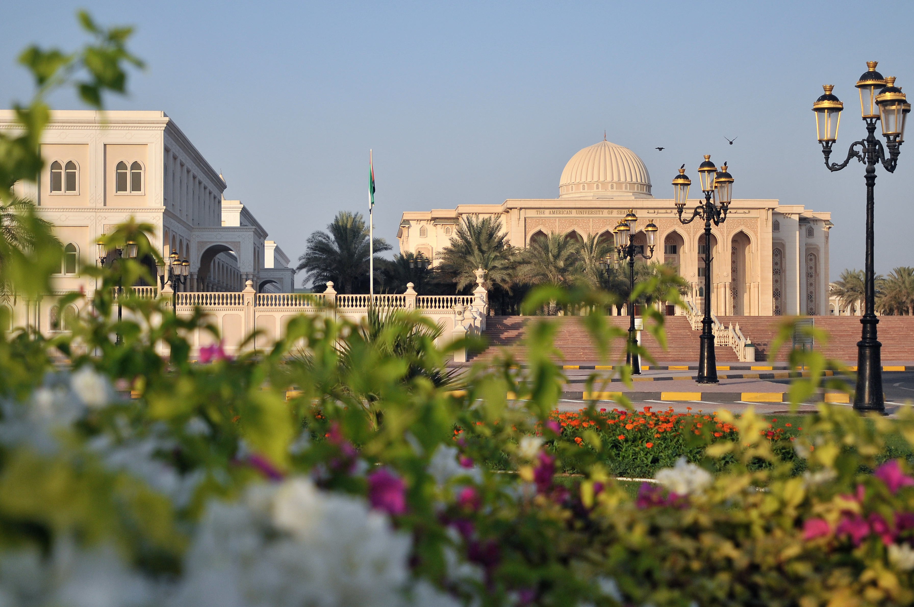 AUS students show flare for innovation during AI Week | American ...